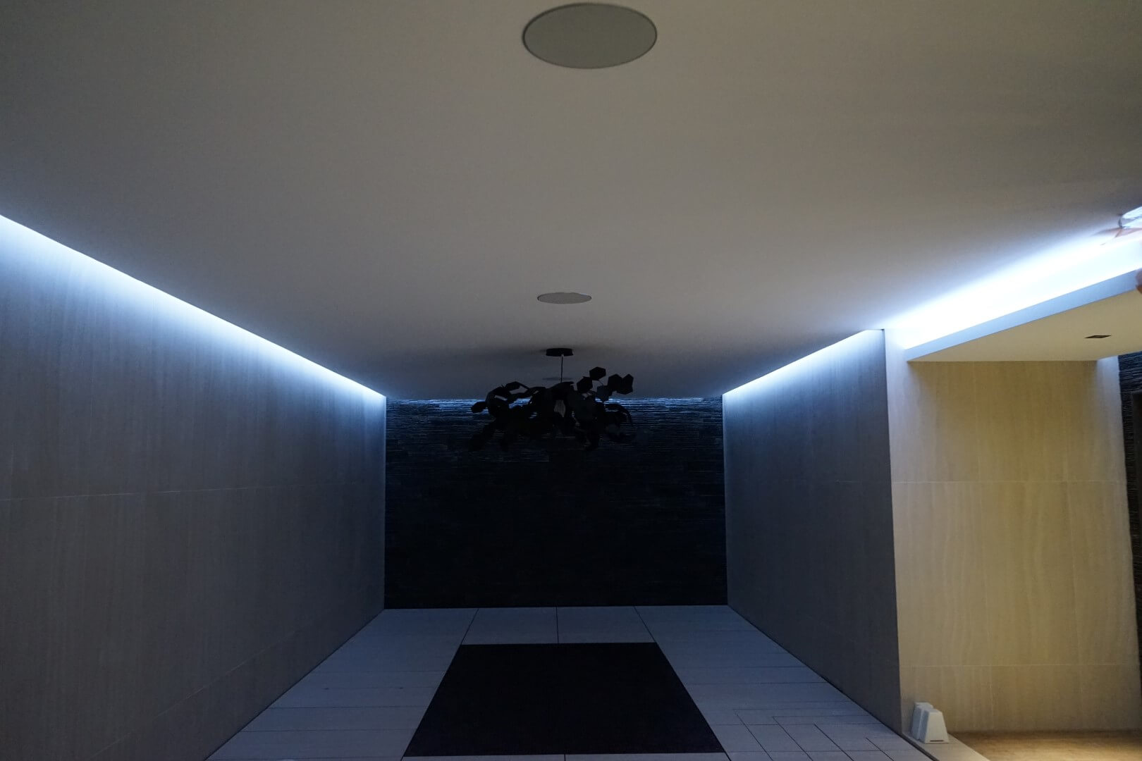 Echo Silk - Echo Acoustic